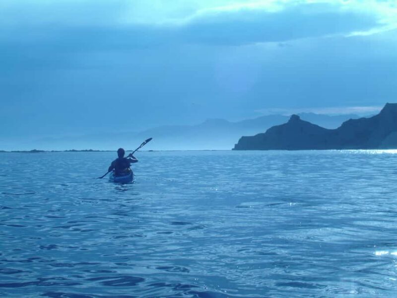 Kaikoura: Sunset Evening Kayaking Tour - FAQ