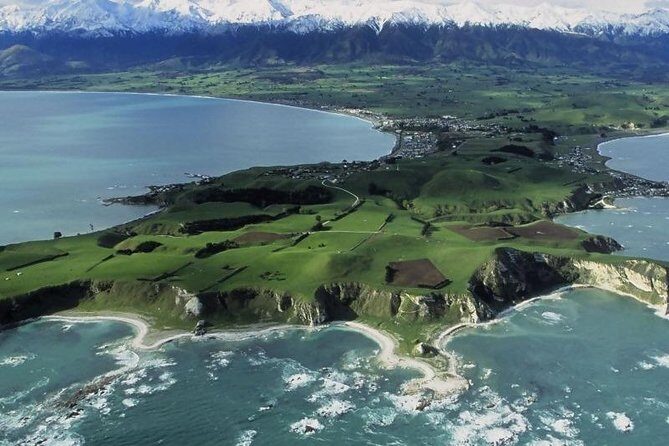 Kaikoura Swim with Dolphins Tour from Christchurch - Why We Love This Tour