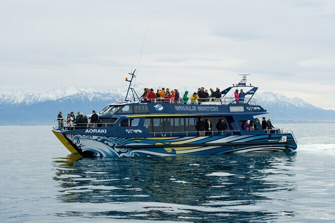 Kaikoura Whale and Dolphin Overnight Tour from Christchurch - Full Review: What to Expect on the Kaikoura Overnight Tour