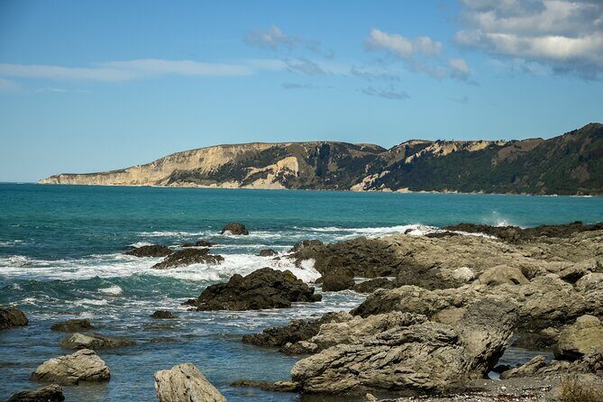 Kaikoura Whale Watch Tour from Christchurch - Small Group - The Sum Up
