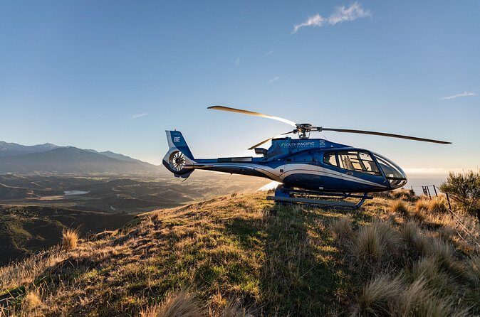 Kaikoura Whale Watching - 45 Minute Ocean Safari - Price and Value for Money