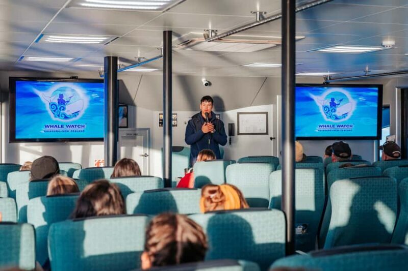 Kaikoura: Whale Watching Cruise - Introduction