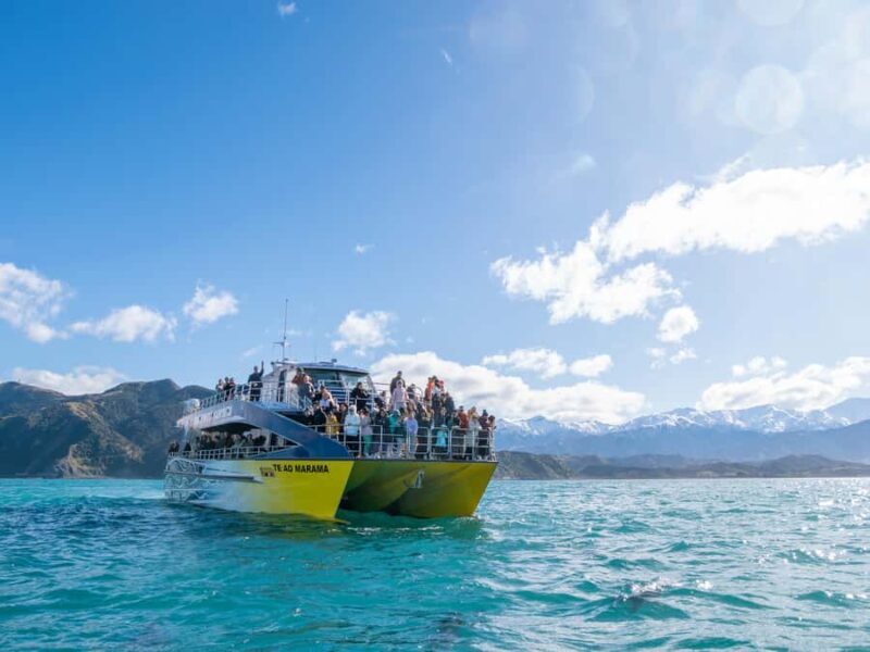 Kaikoura: Whale Watching Cruise - Key Points
