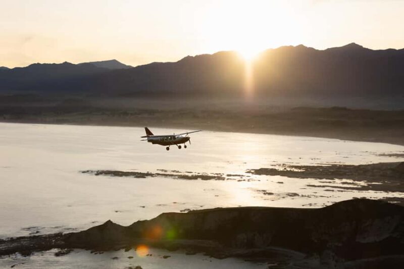 Kaikoura: Whale Watching Flight with Commentary - Key Points