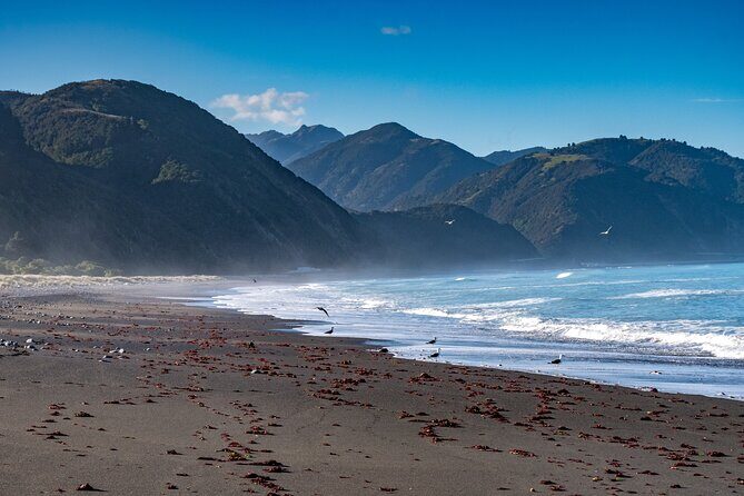 Kaikura Day Tour From Christchurch With Dolphin Encounter - FAQs  