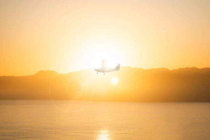 Kaikura Whale Watching Scenic Flight (40 Minutes) - The Experience in Detail