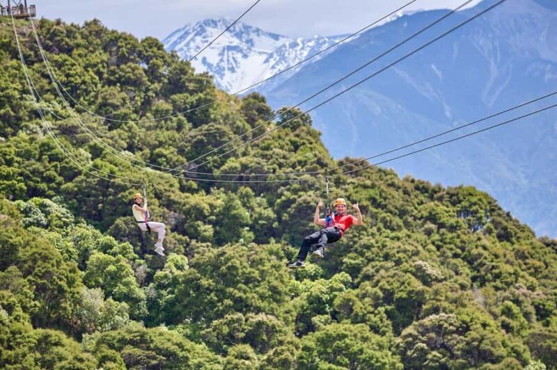 Kaikura: Zipline and Native Forest Adventure Trip - Who Will Love This Tour?