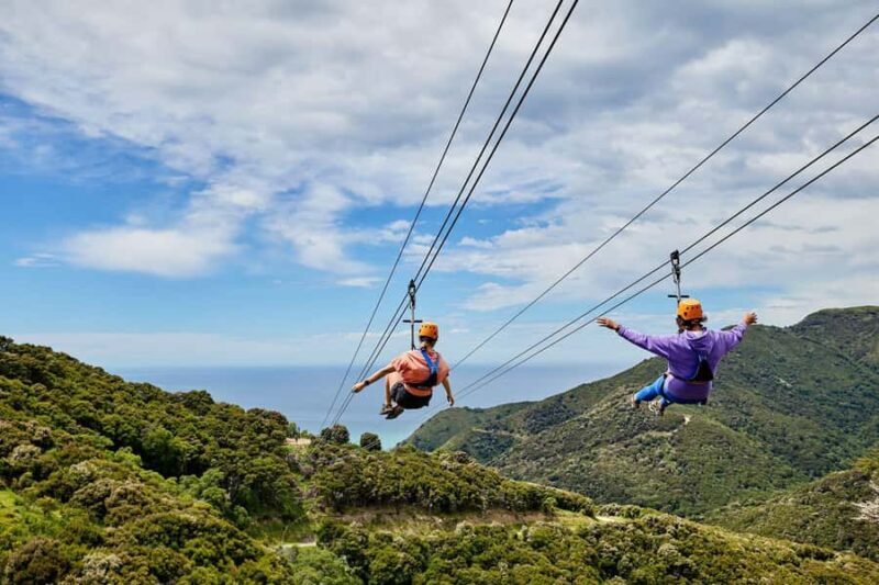 Kaikura: Zipline and Native Forest Adventure Trip - The Value of the Experience