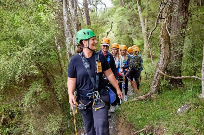 Kaikura: Zipline and Native Forest Adventure Trip - The Sum Up: Who Should Consider This Tour?