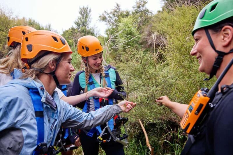 Kaikura: Zipline and Native Forest Adventure Trip - FAQ