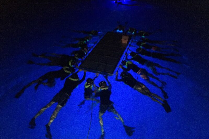 Kailua Kona: Night Manta Ray Adventure on the Big Island - The Value of This Experience