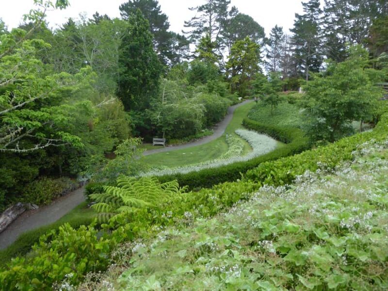 Kaipara Coast Sculpture Gardens Entry Ticket - Discovering the Magic of Kaipara Coast Sculpture Gardens