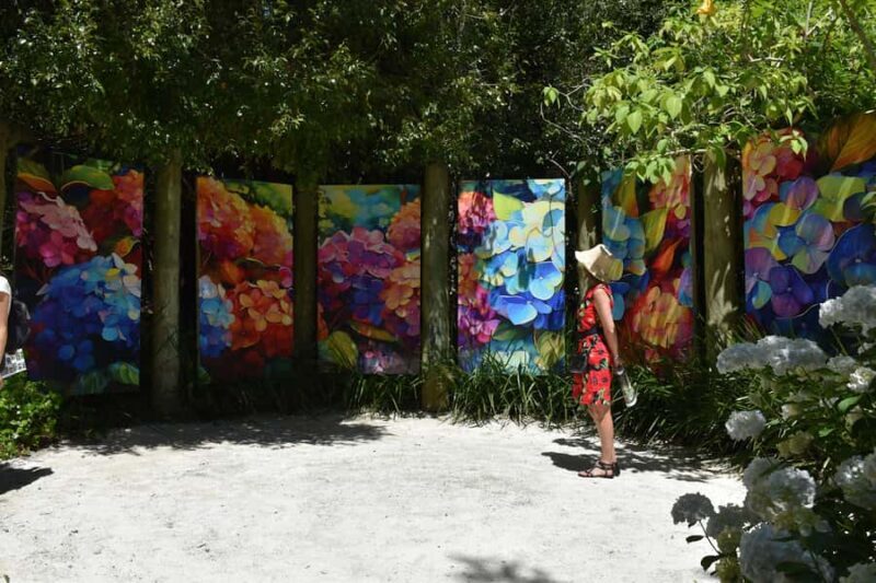 Kaipara Coast Sculpture Gardens Entry Ticket - Forest Walks and Night-time Glow Worm Tours