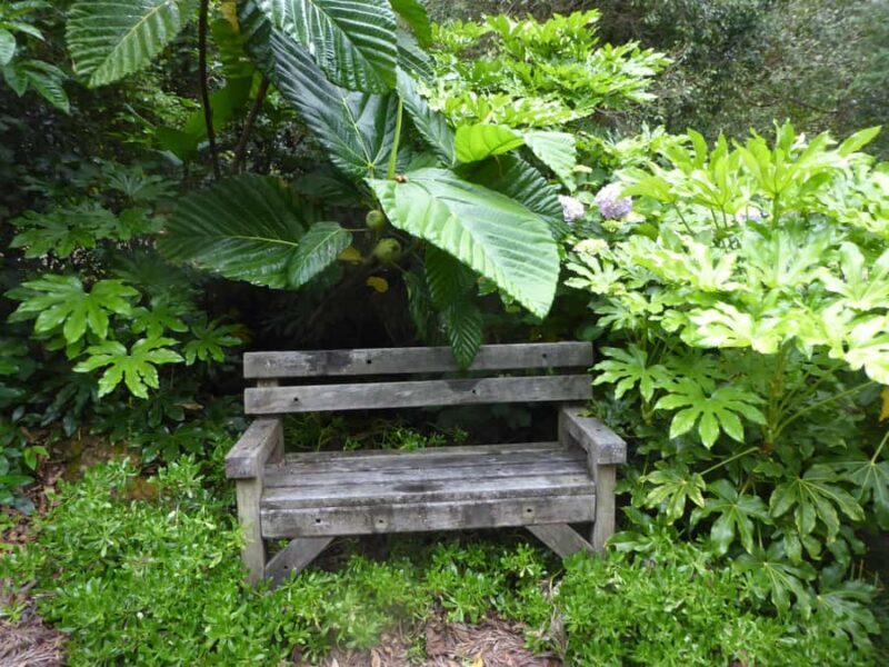 Kaipara Coast Sculpture Gardens Entry Ticket - Practical Details and Tips