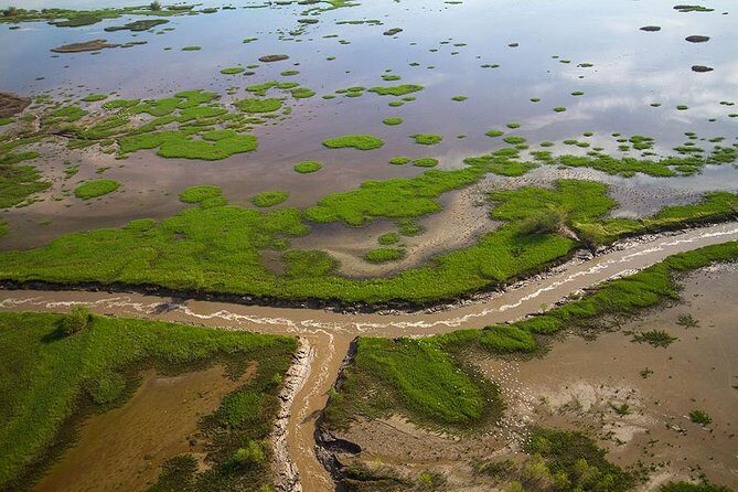 Kakadu, Adelaide & Mary River Scenic Flight - The Experience: What You Can Expect from the Scenic Flight