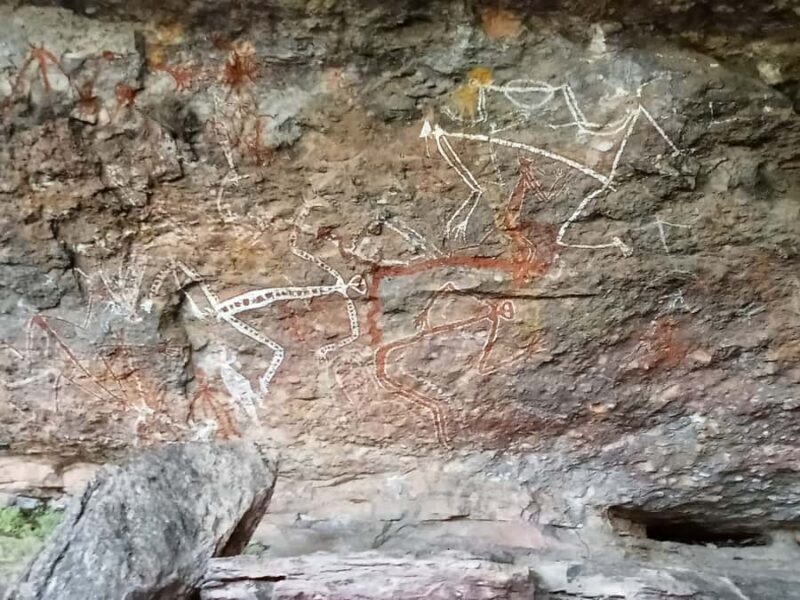 Kakadu Day Tour: Private, Yellow Water, Nourlangie, Ubirr - Discovering Kakadu with Comfort and Insight
