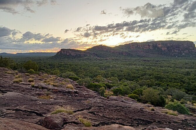 Kakadu Day Tour-Yellow Water-Nourlangie-Ubirr-Cahills-Fogg Dam - Exploring the Itinerary in Detail