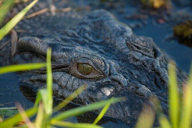 Kakadu National Park Evening Tour + Yellow Water Sunset Cruise - A Full Breakdown of the Tour Experience