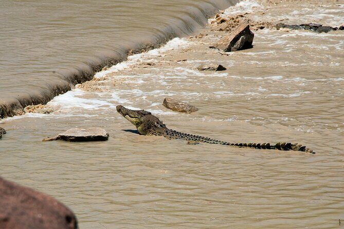 Kakadu National Park Full Day Tour + 2 Hour Cultural River Cruise - Key Points