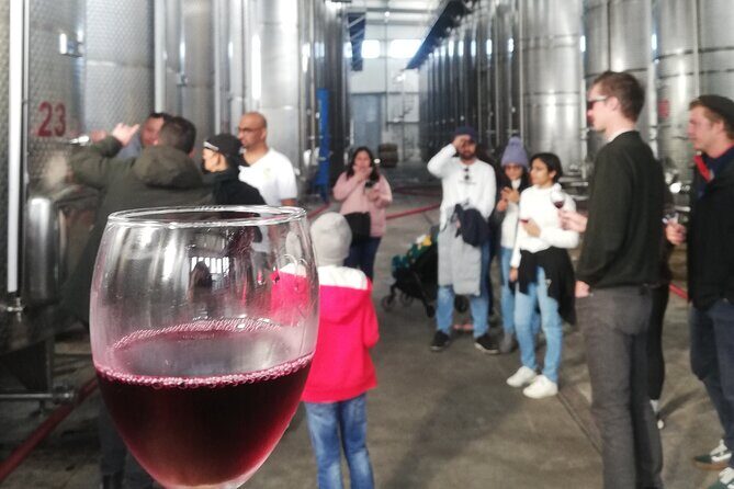 Kakheti Full Day Private Tour - Who Is This Tour Best For?