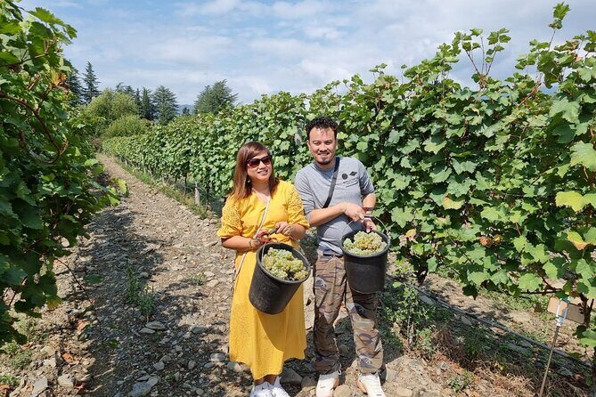 Kakheti - Small wineries and family-cooked lunch  Private tour - Who Should Consider This Tour?