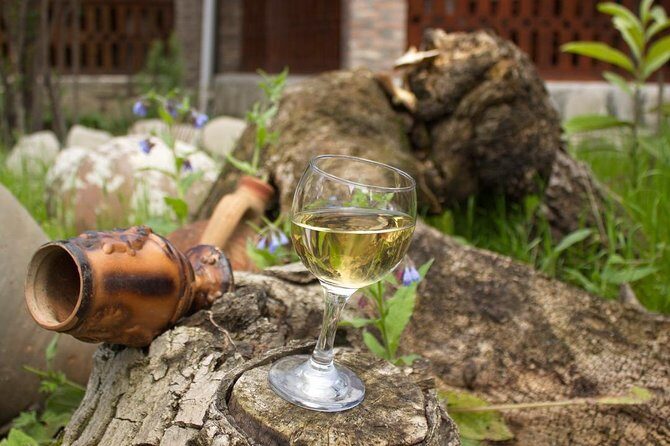 Kakheti Wine & Sighnaghi Private Tour from Tbilisi - Final Thoughts