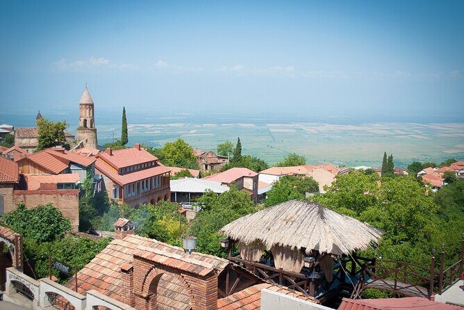 Kakheti Wine Tour: Kindzmarauli & Georgian Wine Heritage - Who Will Love This Tour?
