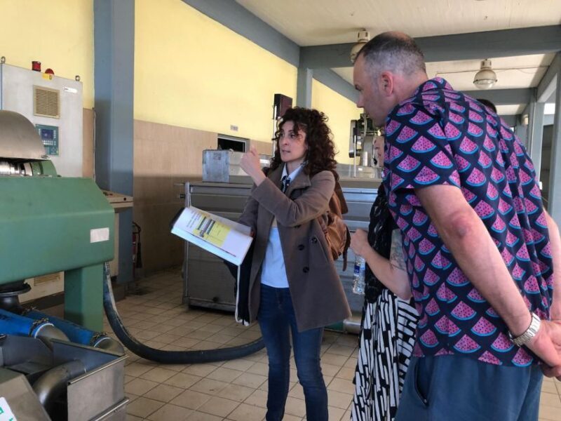 Kalamata, Greece: Organic Olive Grove Tour-Olive oil tasting - Who Would Love This Tour?