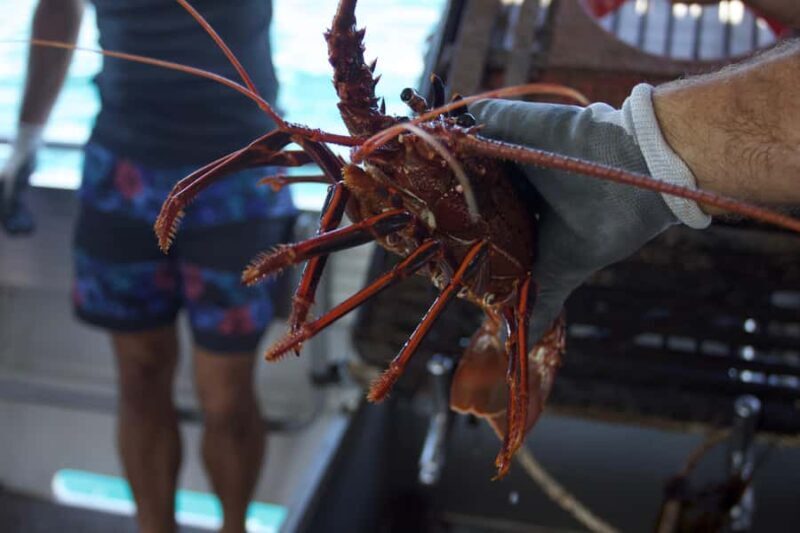 Kalbarri Crayfish Catch & Keep Tour - The Itinerary & Experience Breakdown