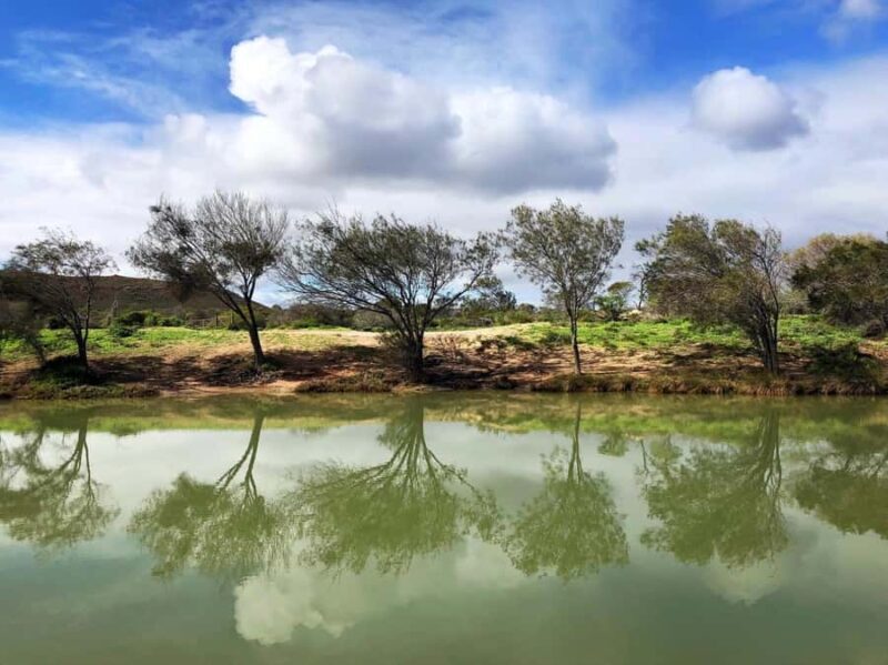 Kalbarri: Murchison River Wilderness Wildlife Cruise - Who Will Enjoy This Tour?