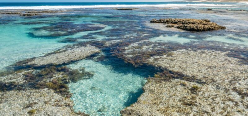 Kalbarri National Park Driving Tour with an APP - FAQ