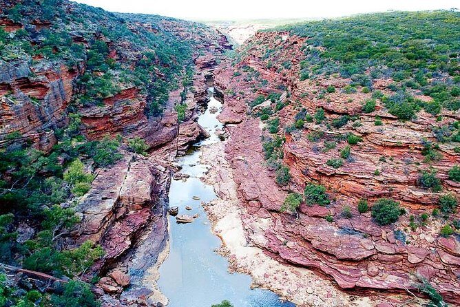 Kalbarri Outback River & Gorges - Ground & Air Tour - What Does the Tour Include and Exclude?