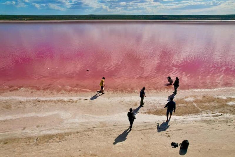 Kalbarri: Pink Lake and Coastal Cliffs Tour - An In-Depth Look at the Tour Experience  