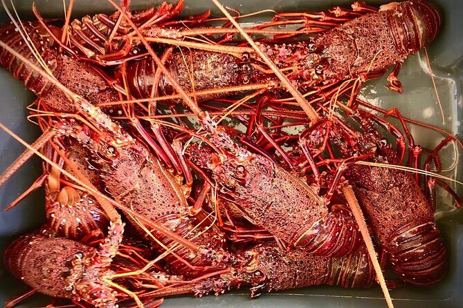 Kalbarri Rock Lobster Tours - Practical Details