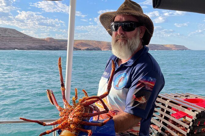 Kalbarri Rock Lobster Tours - Who Would Love This Tour?