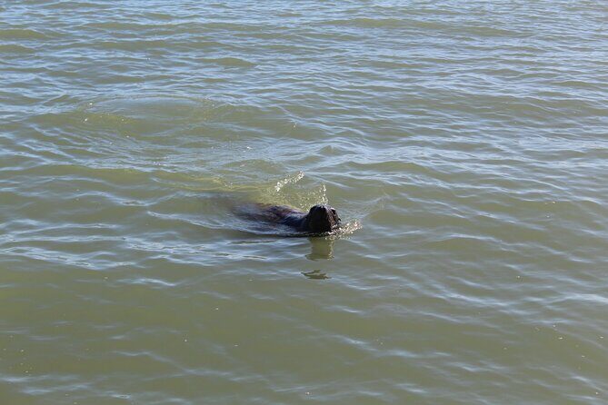 Kalbarri Rock Lobster Tours - FAQs