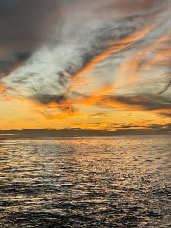 Kalbarri: Sunset Cliff Cruise with Wildlife Spotting - FAQ