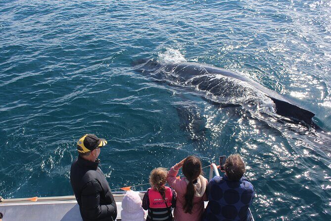 Kalbarri Whale Watching Tour - Practical Details: What You Should Know