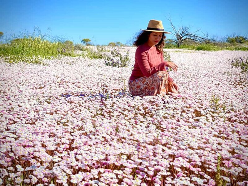 Kalbarri Wildflower Tour with Local Guide - Discover the Beauty of Kalbarris Wildflowers with a Local Guide
