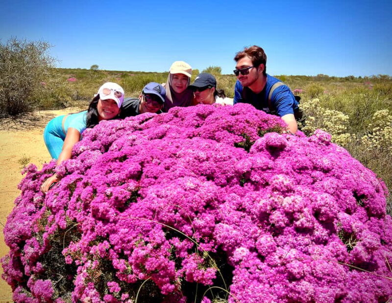 Kalbarri Wildflower Tour with Local Guide - Key Points