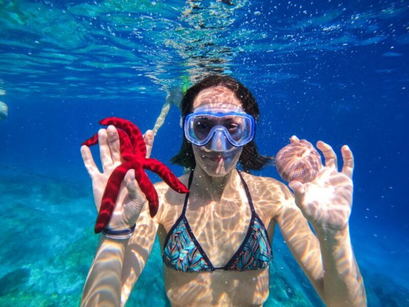 Kamiros Skala : Marine Life Experience & Alimia Island - Who Would Love This Tour?