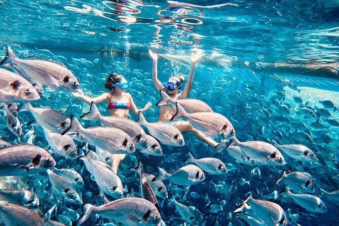 Kamiros Skala: Marine Life Experience and Alimia Island - What to Expect on the Boat and During the Day