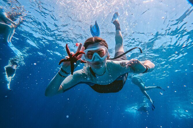 Kamiros Skala: Marine Life Experience and Alimia Island - Authentic Reviews and Unique Insights