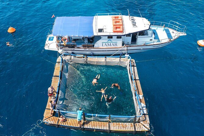 Kamiros Skala: Marine Life Experience and Alimia Island - Final Thoughts: Who Is This Tour Perfect For?