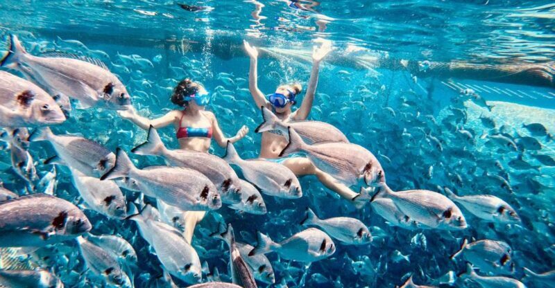 Kamiros Skala: Marine Life Experience by Boat - FAQ