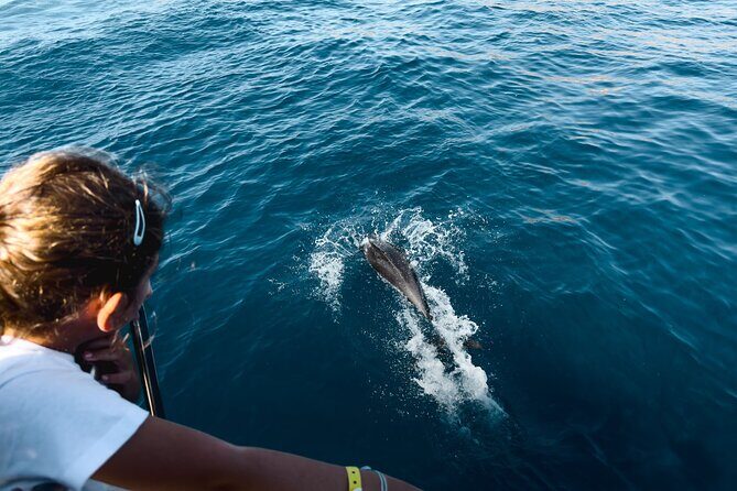 Kamiros Skala: Marine Life Experience - What the Tour Entails  