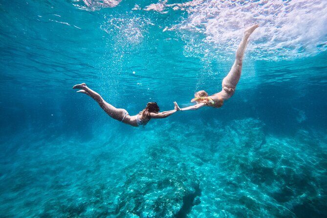 Kamiros Skala: Marine Life Experience - Final Thought  