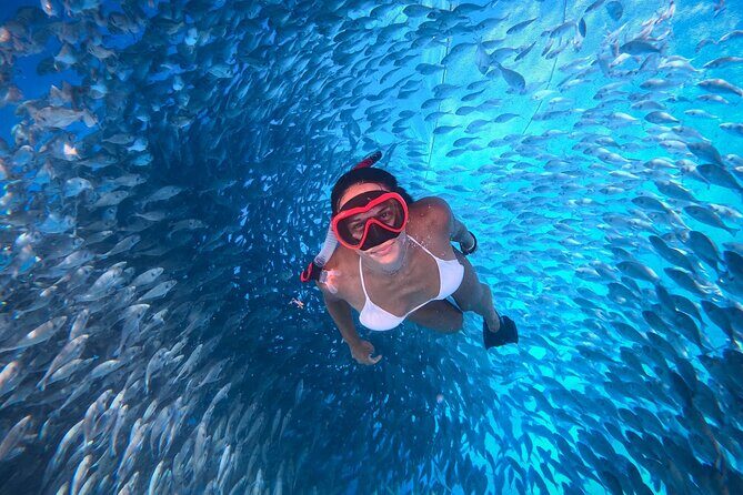 Kamiros Skala: Marine Life Experience - Frequently Asked Questions  