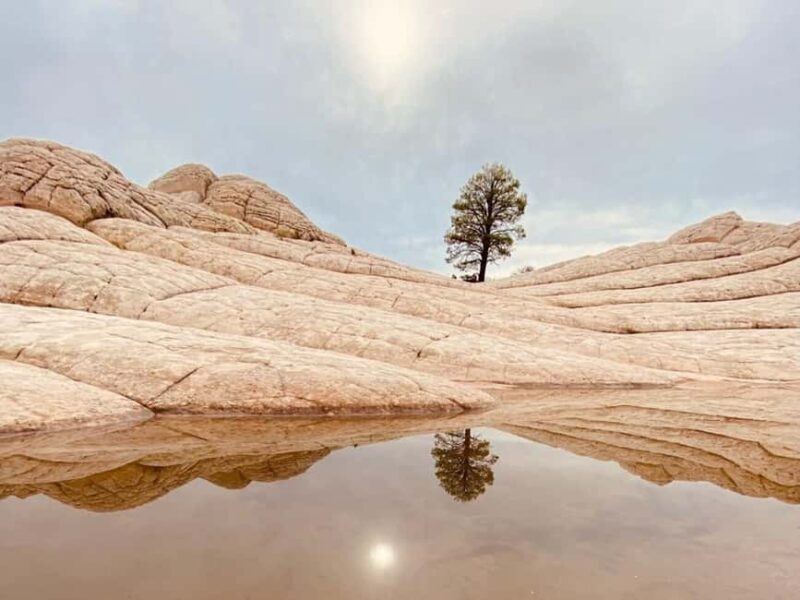 Kanab: White Pocket Rock Formation Small Group Tour - The Value and Practicalities