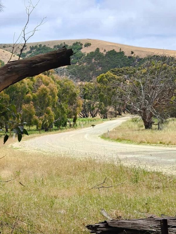 Kangaroo Island: 2 Day Private 4WD Tour with Private Guide - What Sets This Tour Apart?